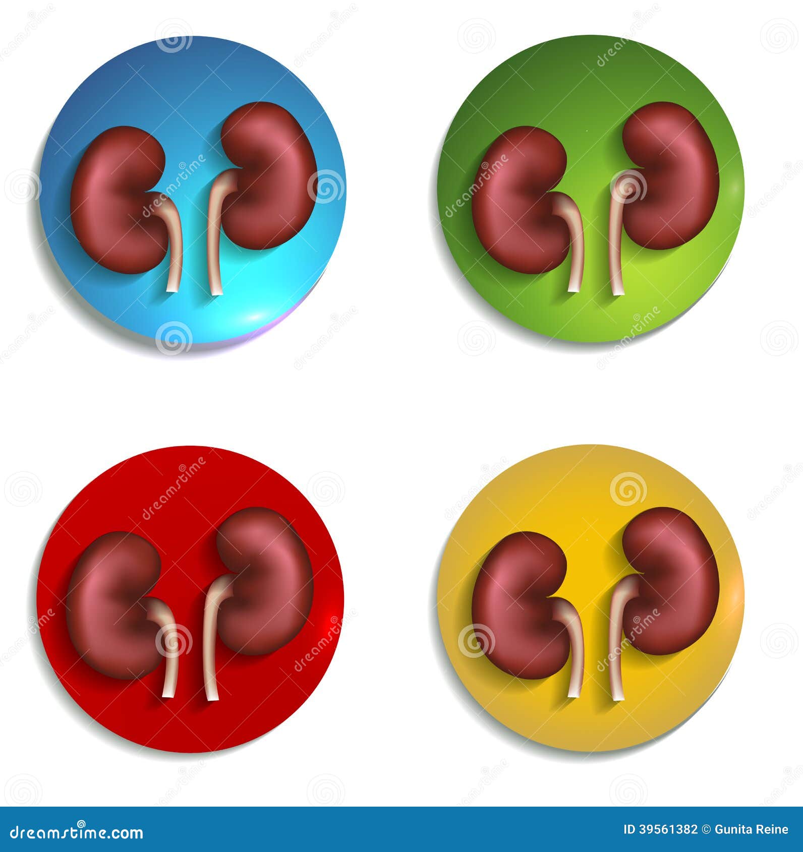 Colorful Icons Set with Kidneys Stock Vector - Illustration of gland ...