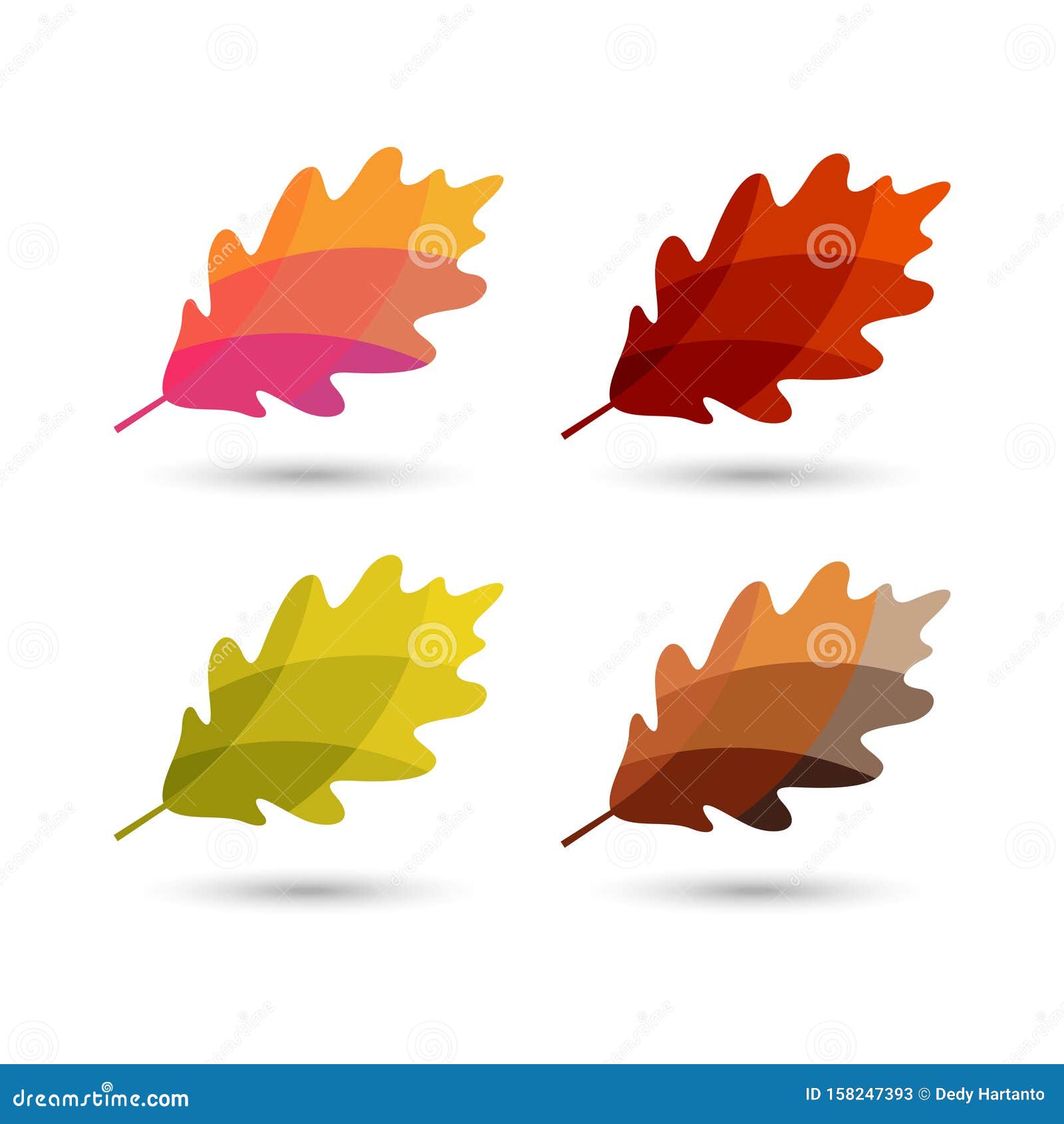 Colorful Illustrated Oak Leaves Stock Vector - Illustration of ...