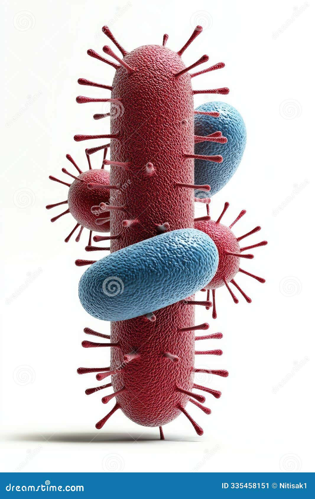 A Colorful Illustration of Bacteria Showcasing Its Unique Shapes and ...