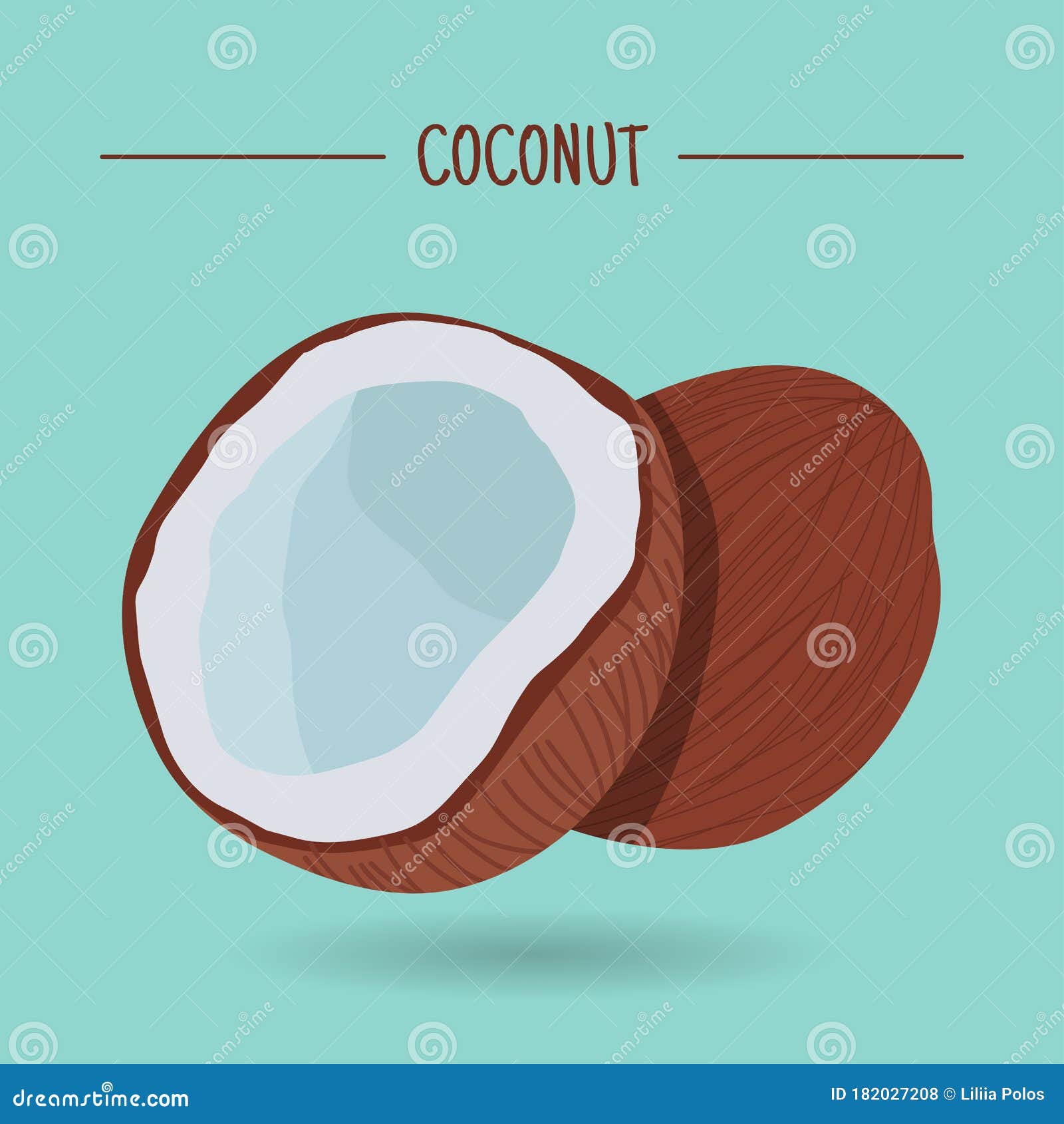 Colorful Illustration of Broken Coconut. - Isolated Stock Illustration ...