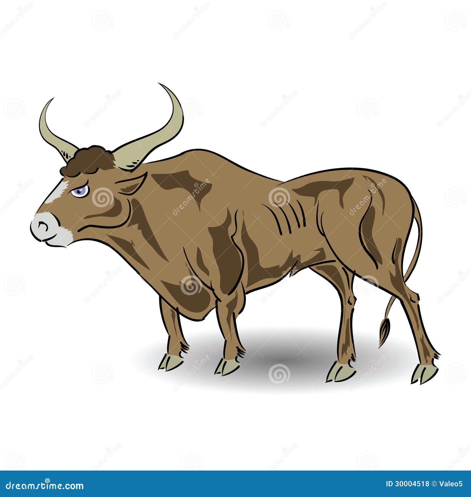 Old bull stock vector. Illustration of bullfight, cattle - 30004518
