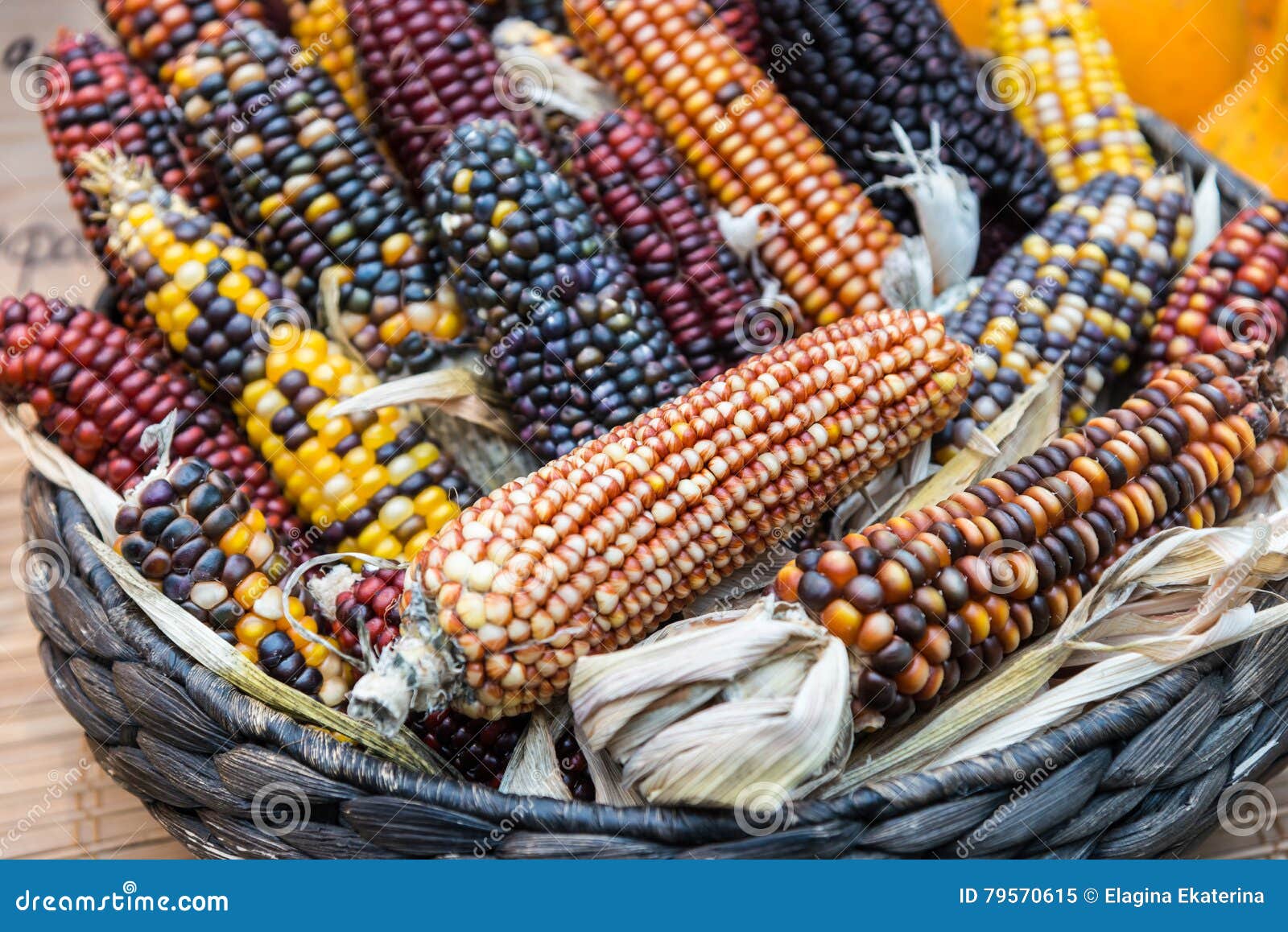 Colorful Indian Corn in a Basket Stock Image - Image of harvest, home ...