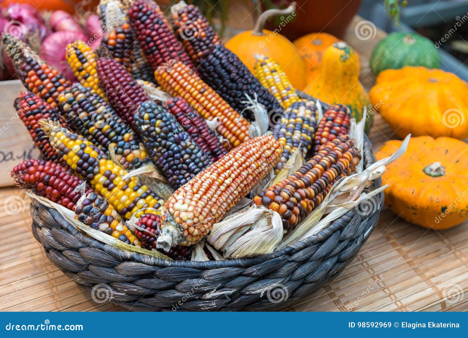 Colorful Indian Corn in a Basket Stock Image - Image of decorative ...