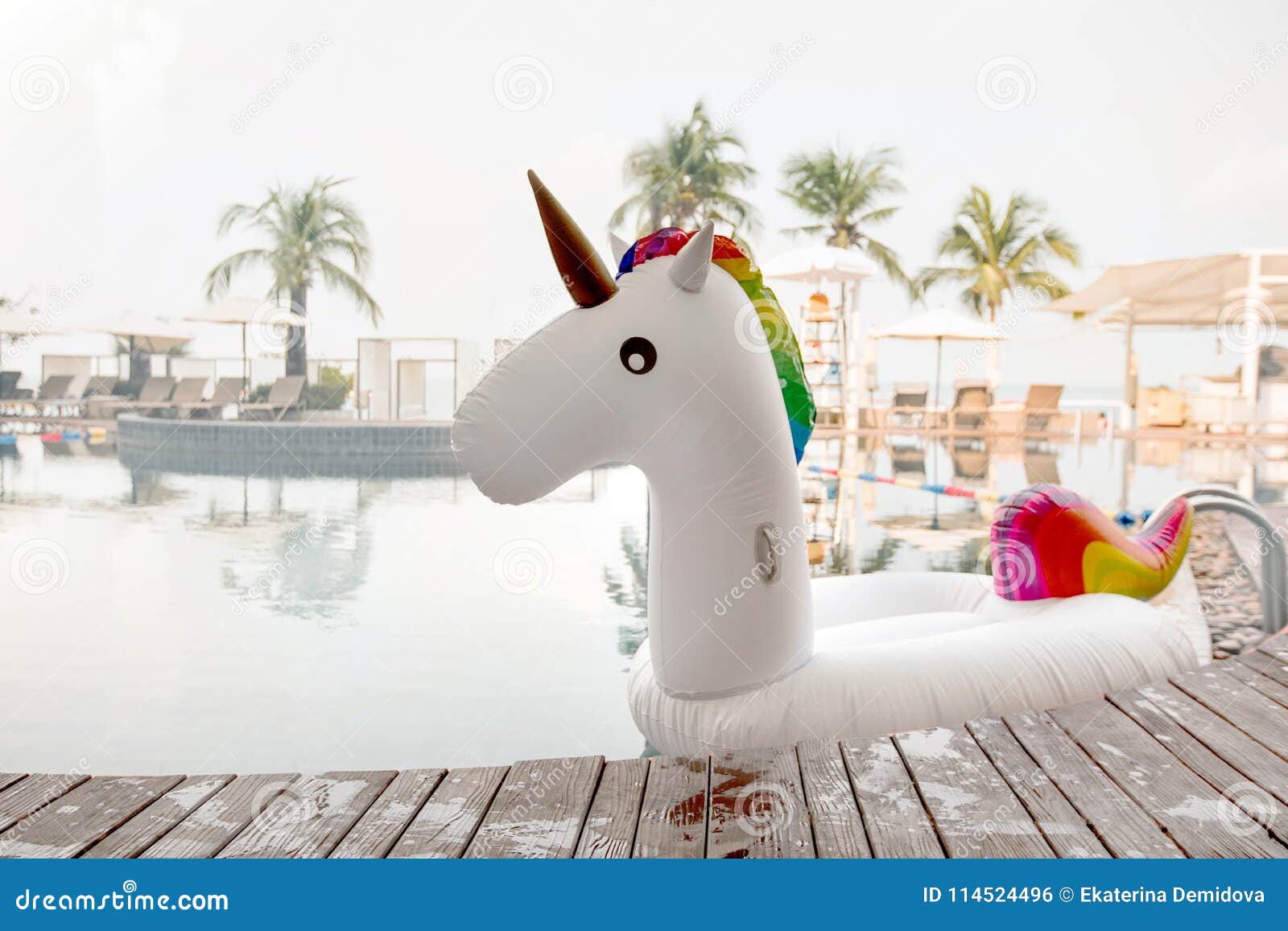 Inflatable Unicorn Floating in Pool Stock Photo - Image of recreation ... Inflatable Unicorn Floating in Pool Stock Photo - Image of recreation ...