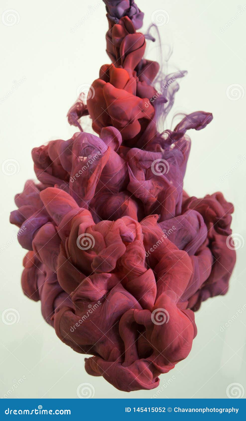 Color ink drops in water. stock photo. Image of abstract - 145415052