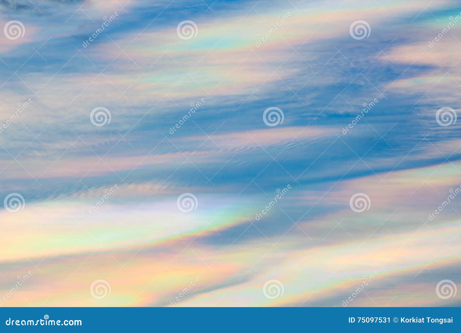 Colorful Iridescent Wireframe Capsule Shape Isolated On Transparent ...