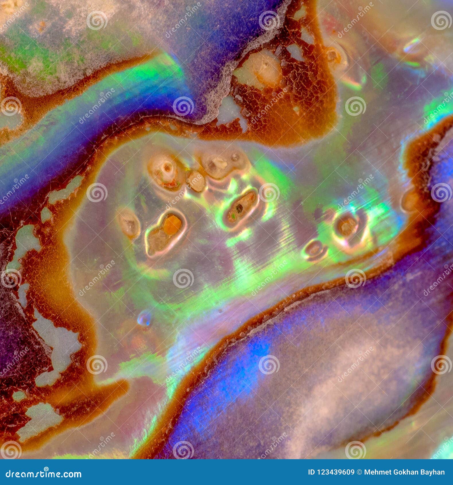Colorful Iridescent Surface Texture of Abalone Shell Macro Shot Stock ...