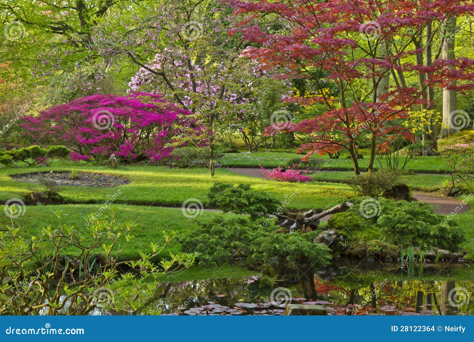 Colorful Japanese garden stock photo. Image of clingendael - 28122364
