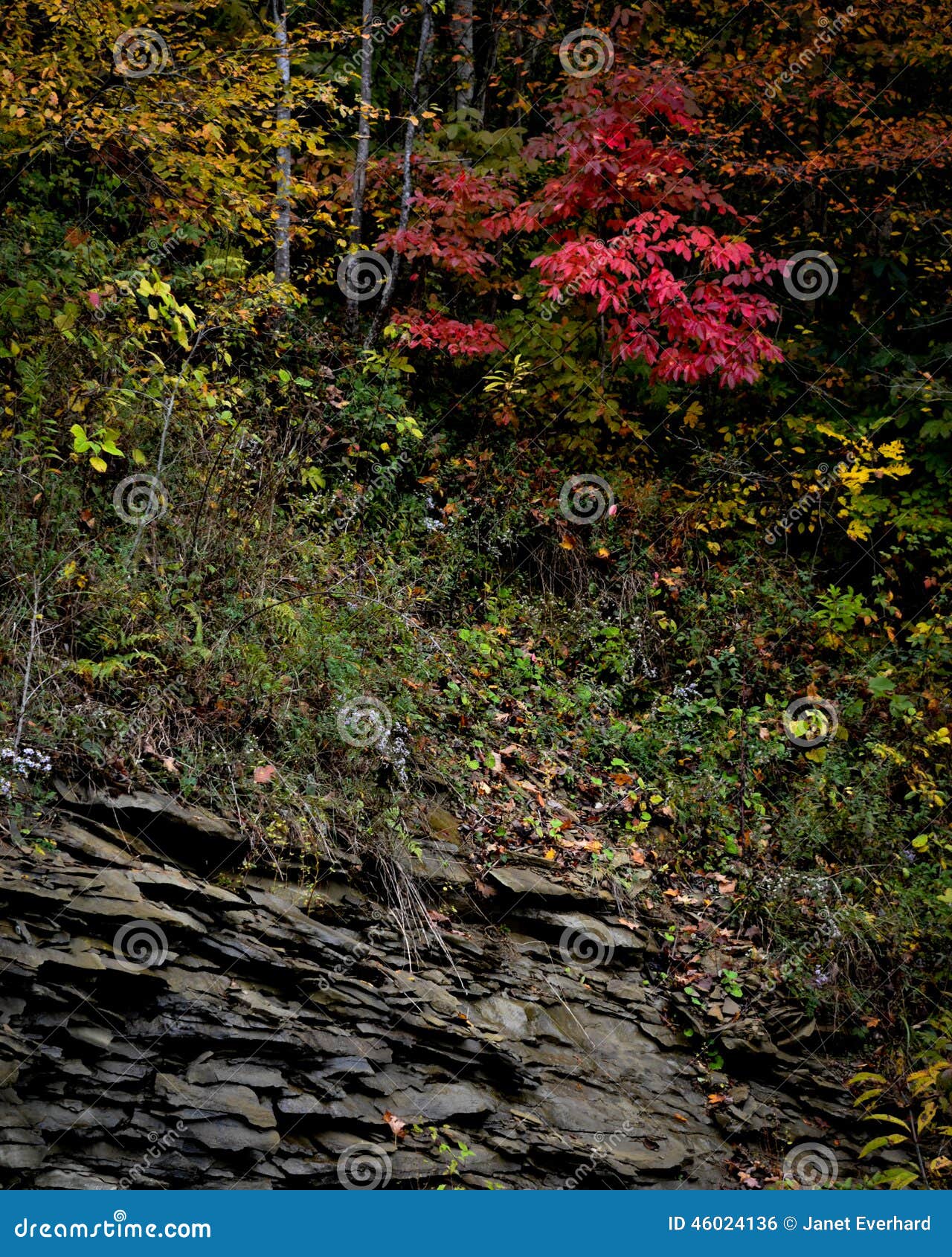 Colorful Kentucky stock photo. Image of shale, rocks - 46024136