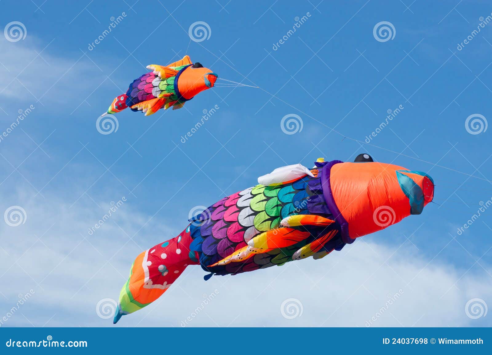 Colorful kites stock photo. Image of festival, float - 24037698