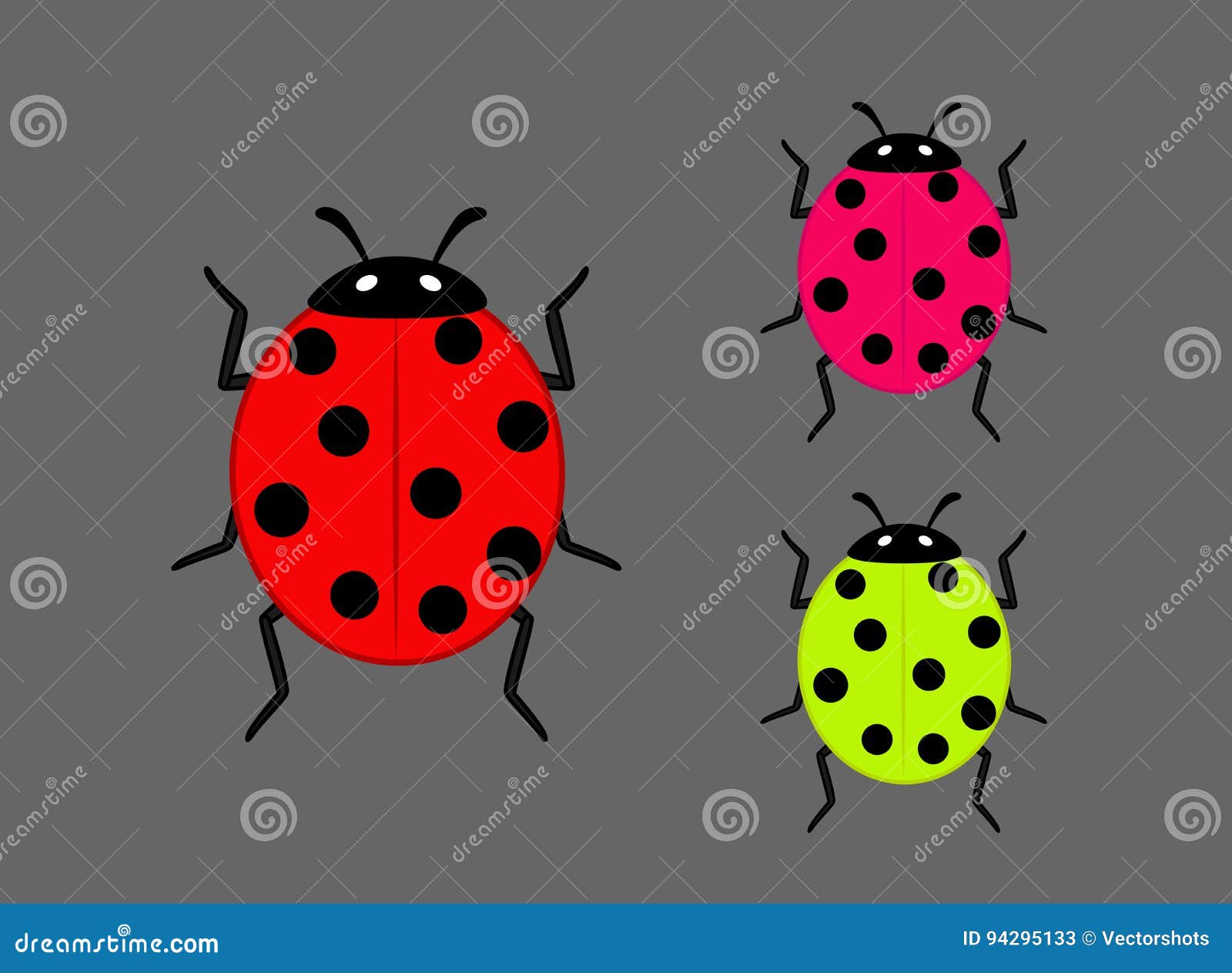 Colorful Ladybug Insects stock vector. Illustration of cartoon - 94295133