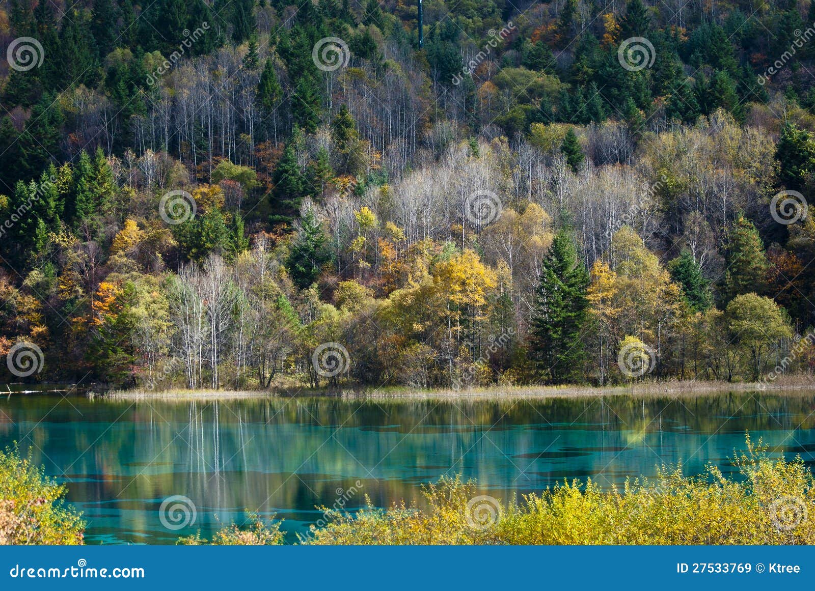 Colorful Lake in Jiuzhaigou Stock Image - Image of china, invert: 27533769