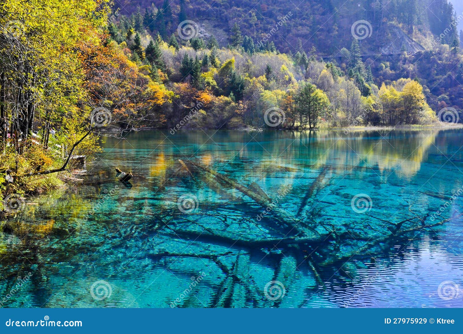 Colorful Lake in Jiuzhaigou Stock Image - Image of clarity, environment ...