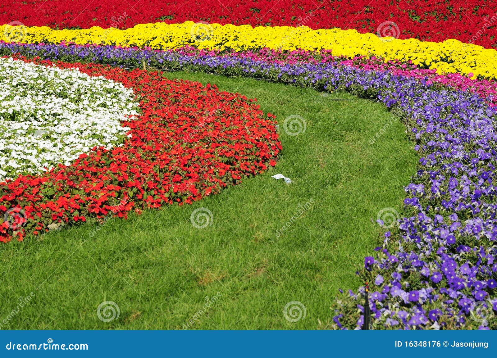 Colorful land with flower stock photo. Image of decoration - 16348176