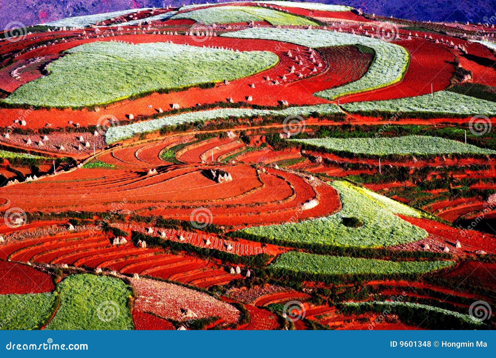 Colorful landscape stock photo. Image of farm, nature - 9601348