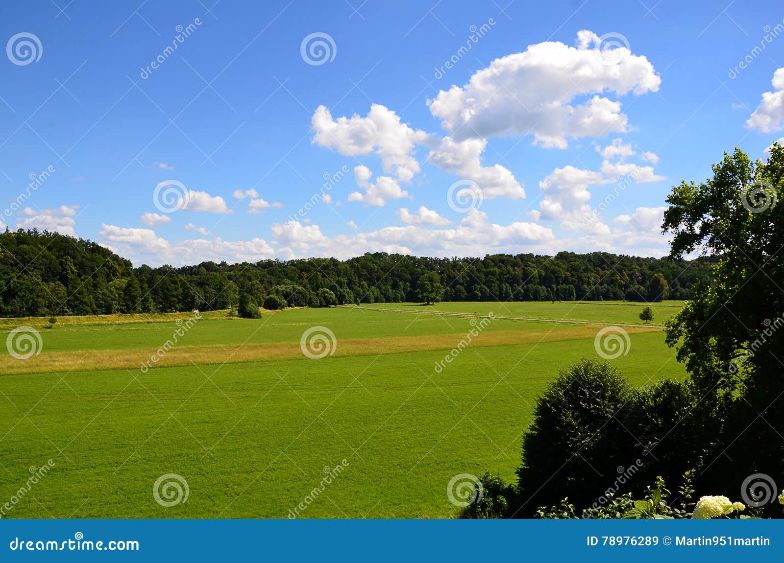 Colorful Landscape with Field and Sky and Tree Stock Image - Image of ...