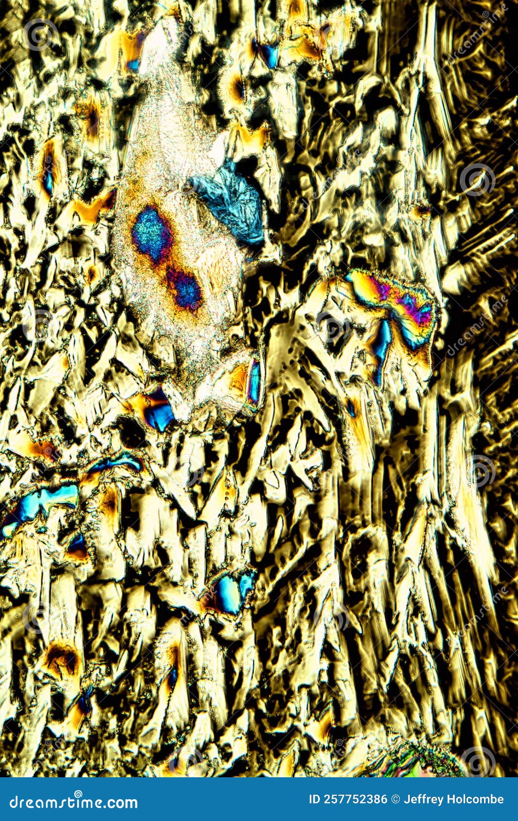 Colorful Landscape of Glycine Crystals Under a Polarizing Microscope ...