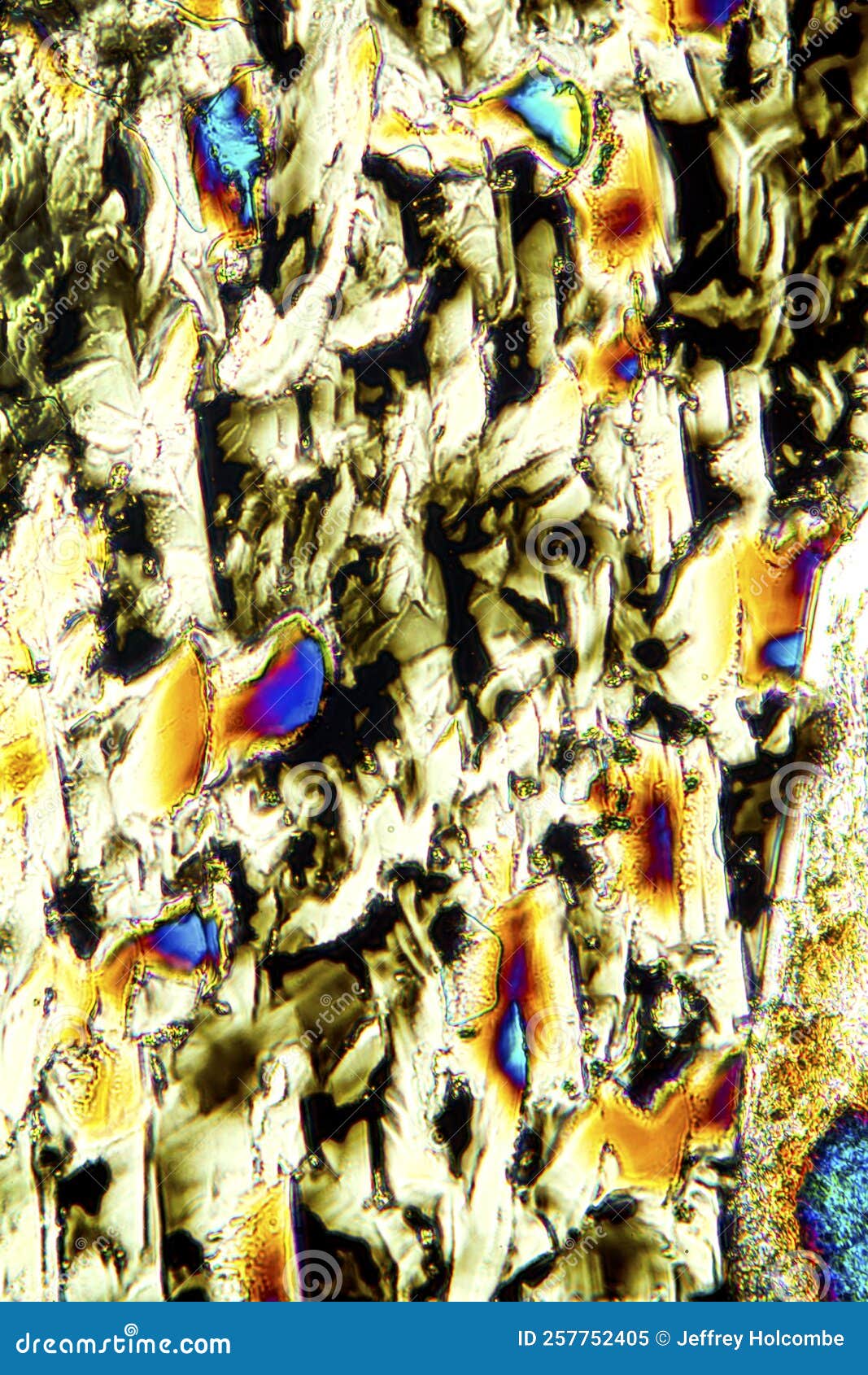 Colorful Landscape of Glycine Crystals Under a Polarizing Microscope ...