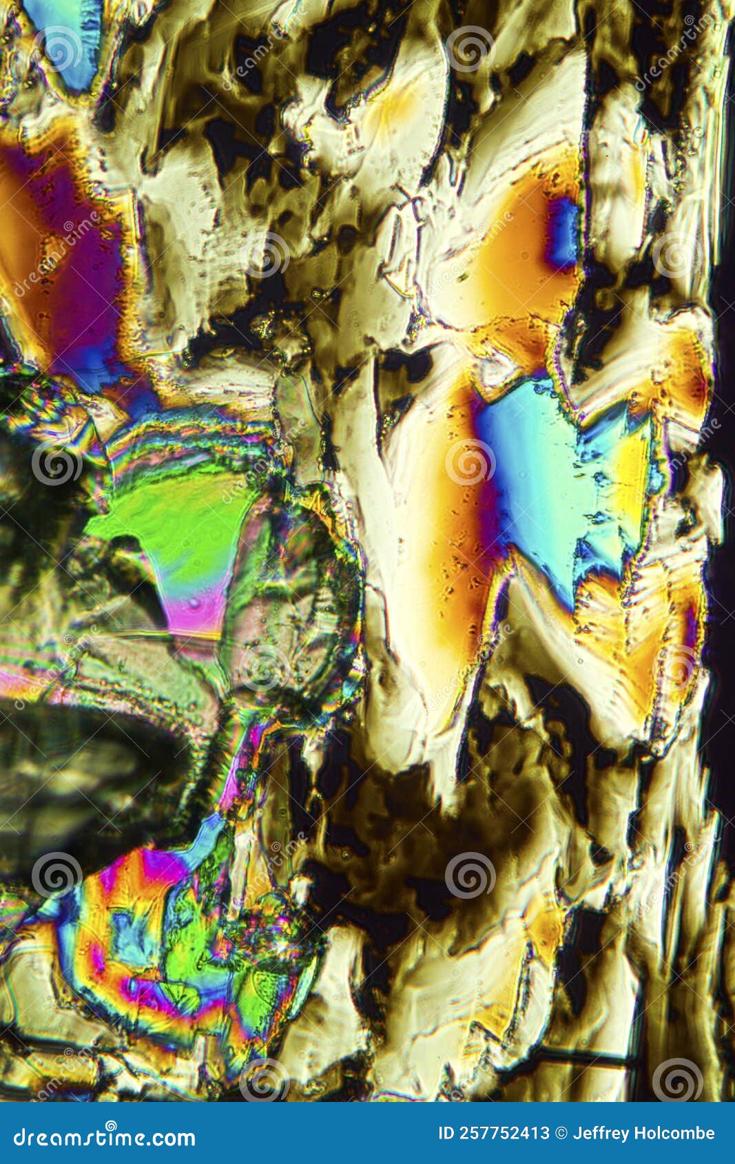 Colorful Landscape of Glycine Crystals Under a Polarizing Microscope ...