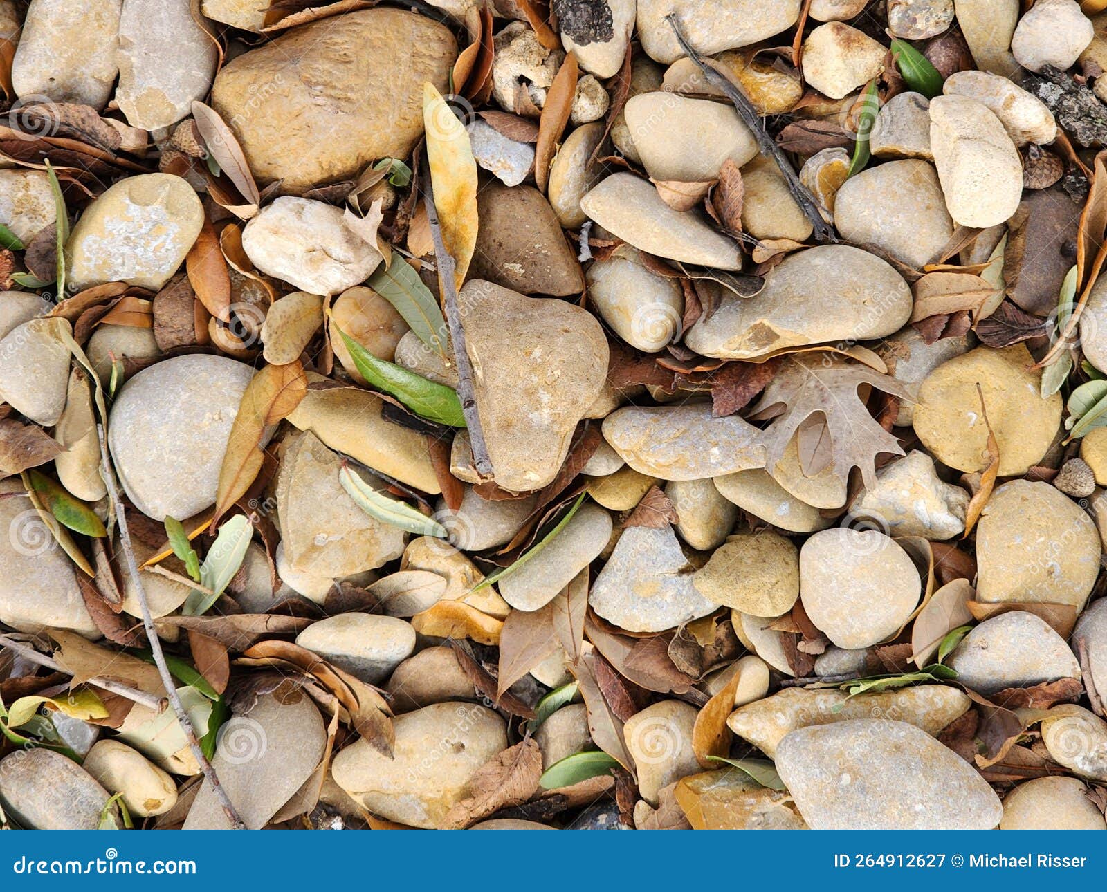Colorful Landscape River Rocks and Leaves on the Ground Stock Image ...