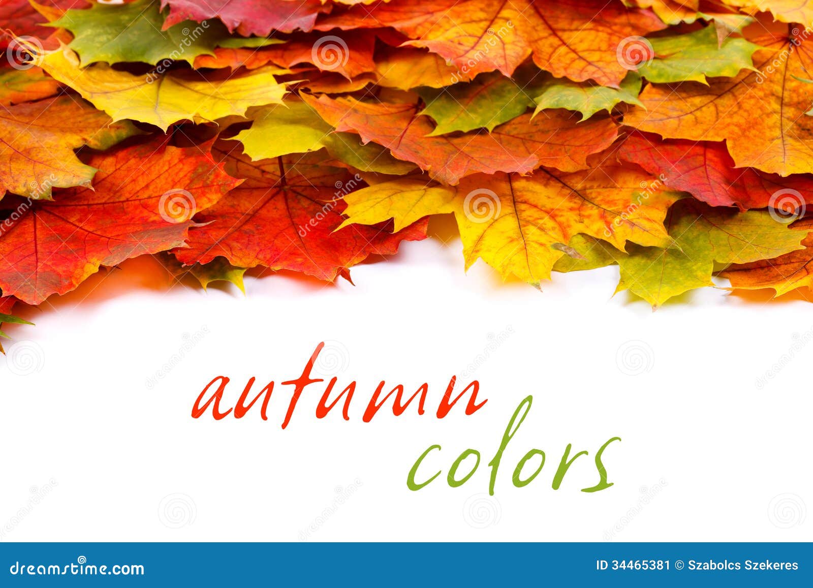 Colorful leaf border stock image. Image of light, maple - 34465381
