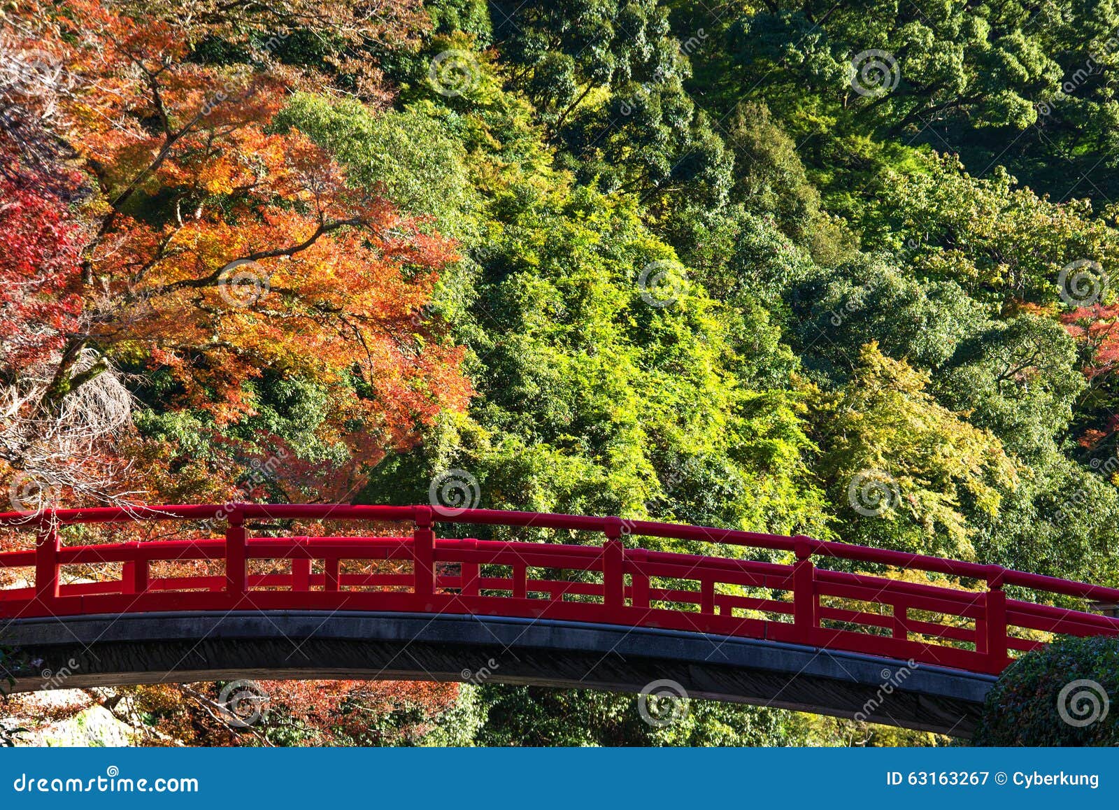 Colorful Leaf and Red Bridge in Autumn at Japan Stock Image - Image of ...