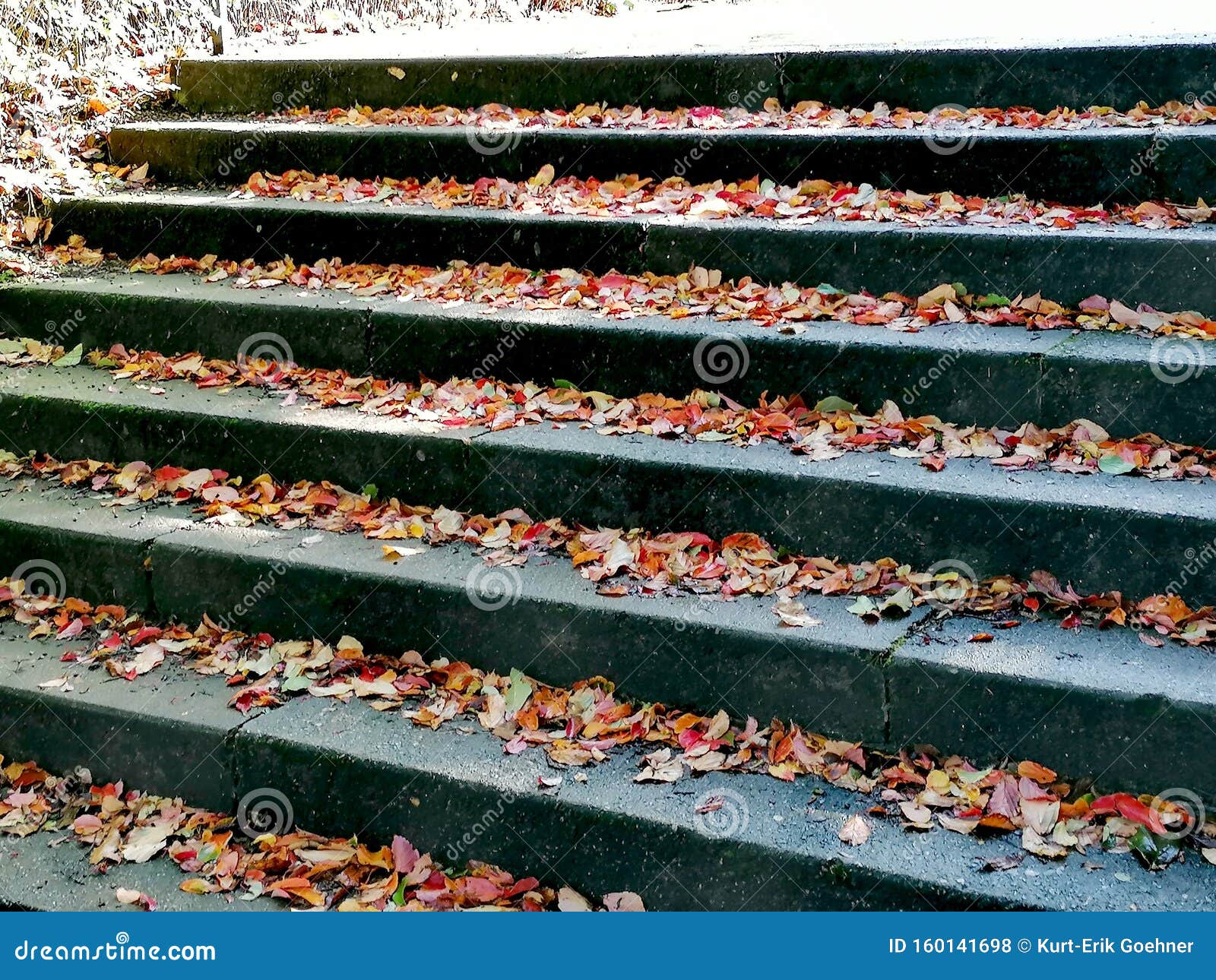 Colorful leaf at steps stock photo. Image of autumn - 160141698