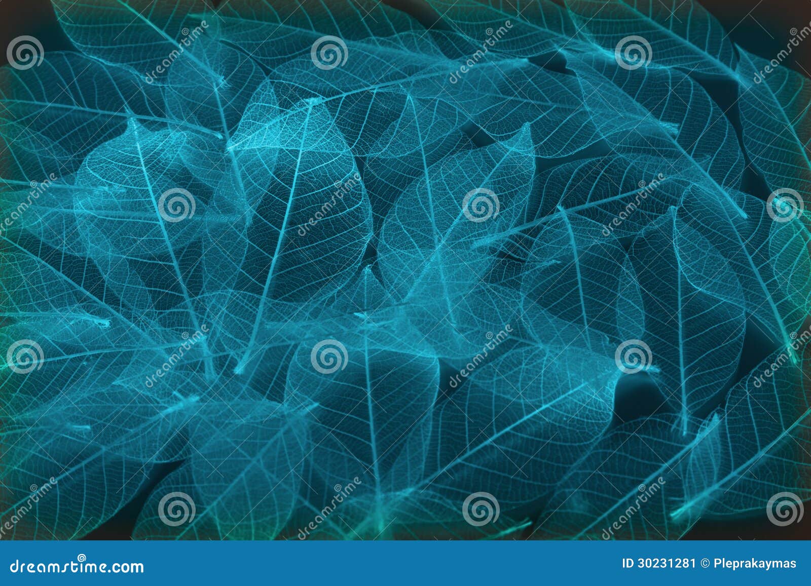 Colorful leaf for texture stock image. Image of seamless - 30231281