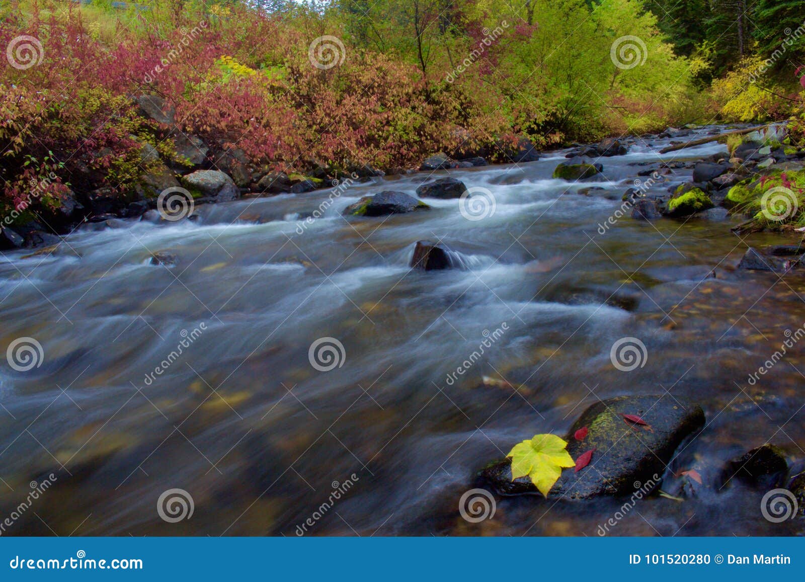 Fall Colors on the Stream stock photo. Image of colors - 101520280