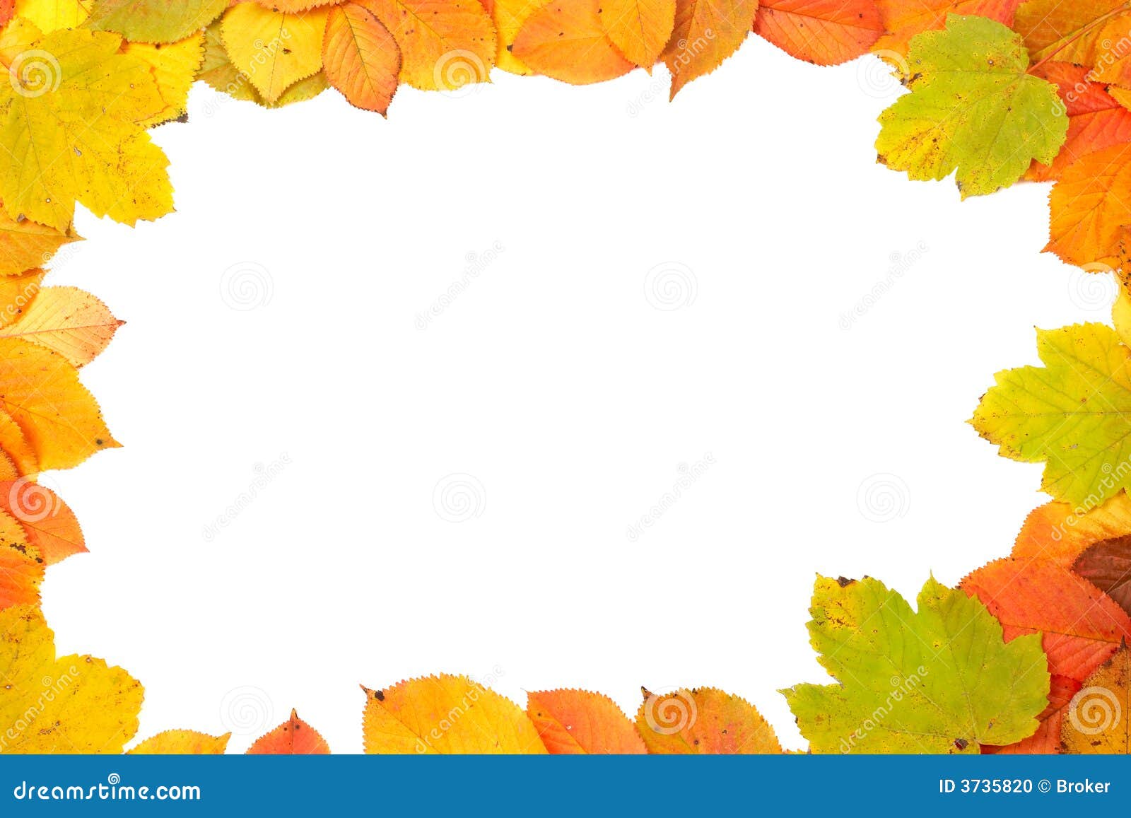 Colorful leaves frame stock photo. Image of golden, leaves - 3735820