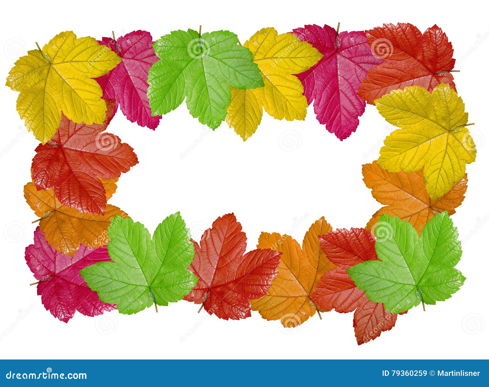 Colorful Leaves Frame Isolated on White Background Stock Image - Image ...