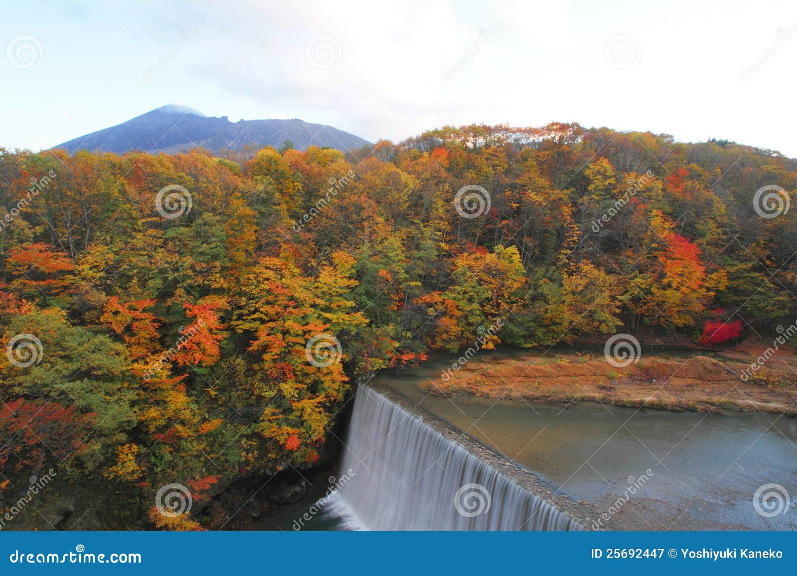 Colorful Leaves in Gully Matsukawa Stock Image - Image of gully ...