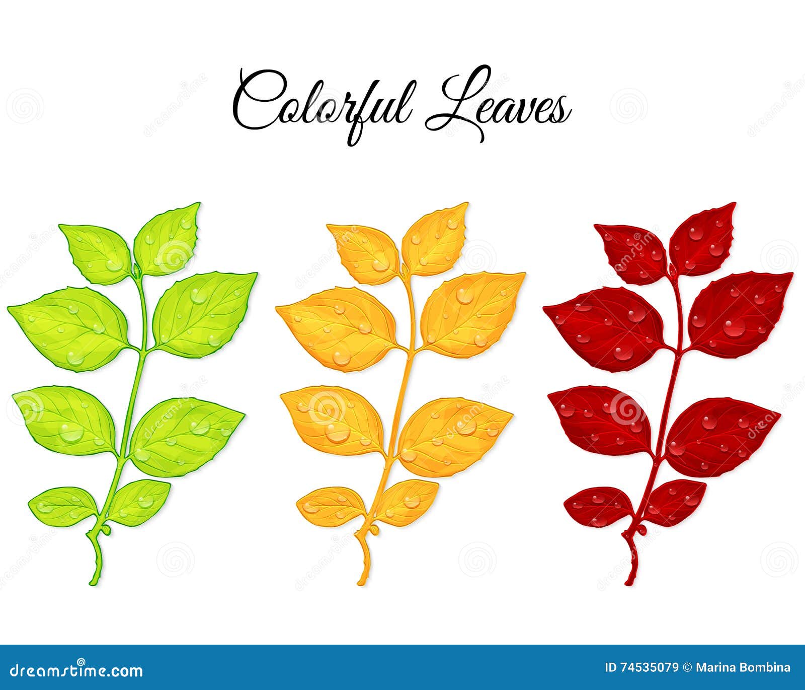 Colorful leaves set vector stock vector. Illustration of summer - 74535079