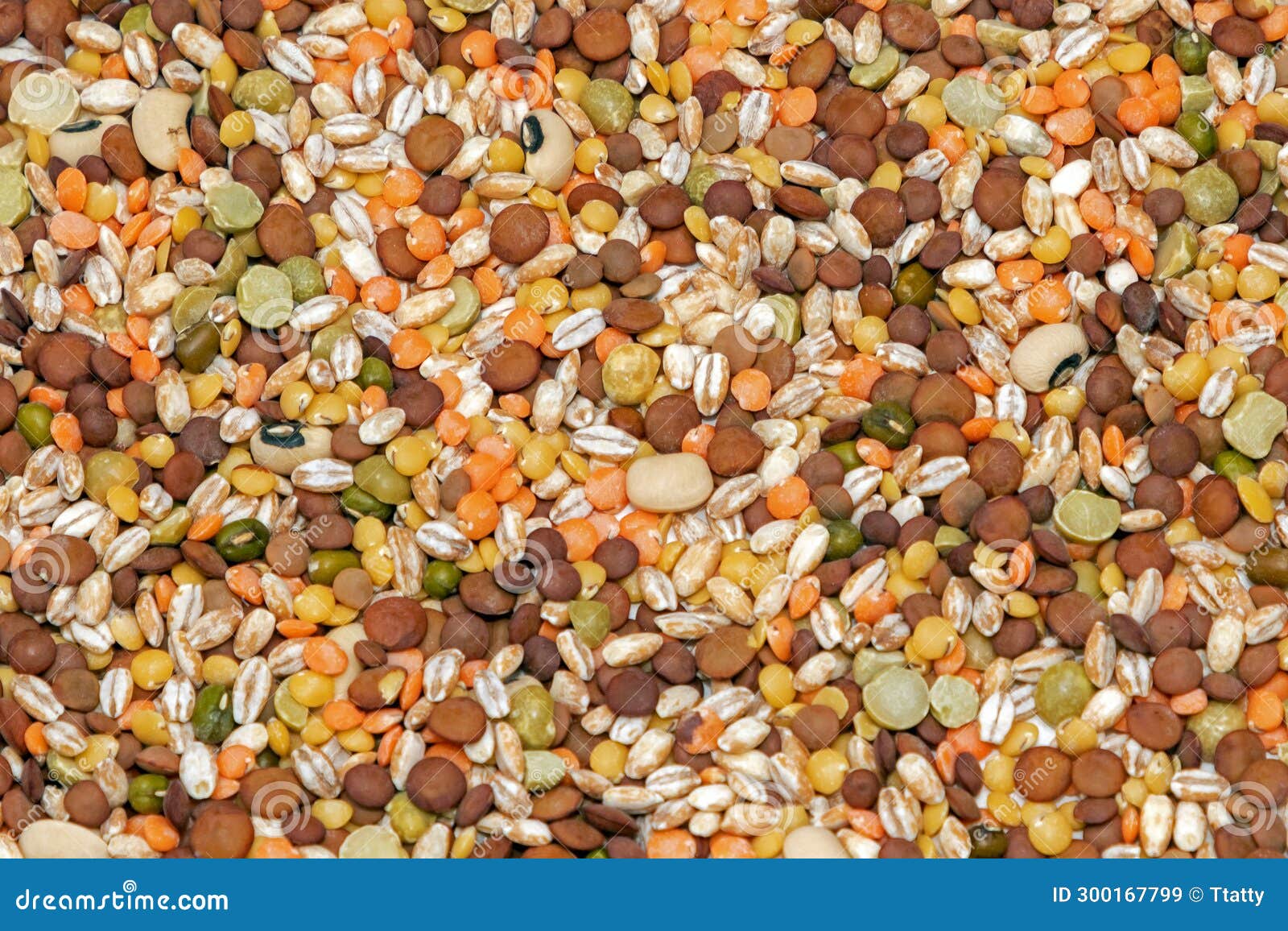 Colorful Legumes and Pulses Pattern Stock Image - Image of vegan, brown ...
