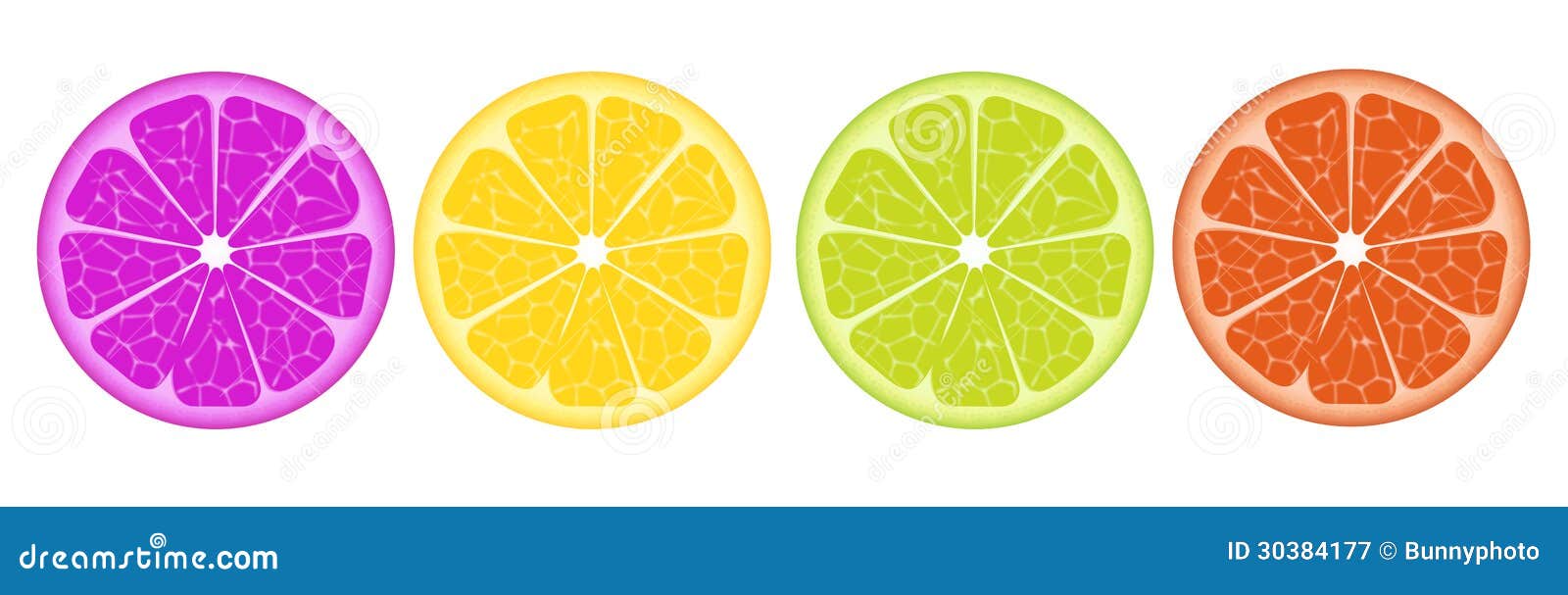 Colorful lemon slices stock illustration. Illustration of fresh - 30384177