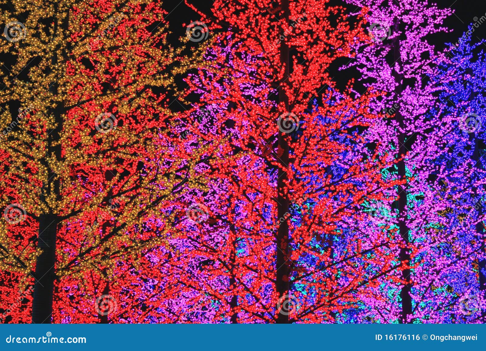 Colorful Light Tree stock photo. Image of background - 16176116