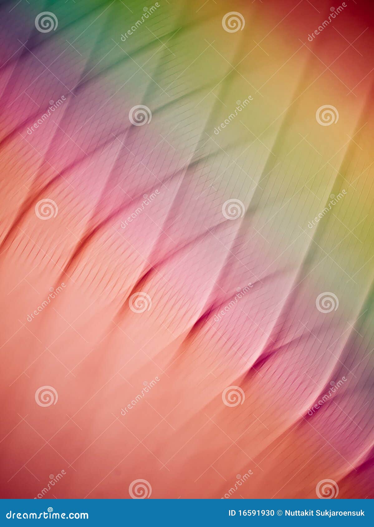 Colorful line and texture stock photo. Image of decoration - 16591930