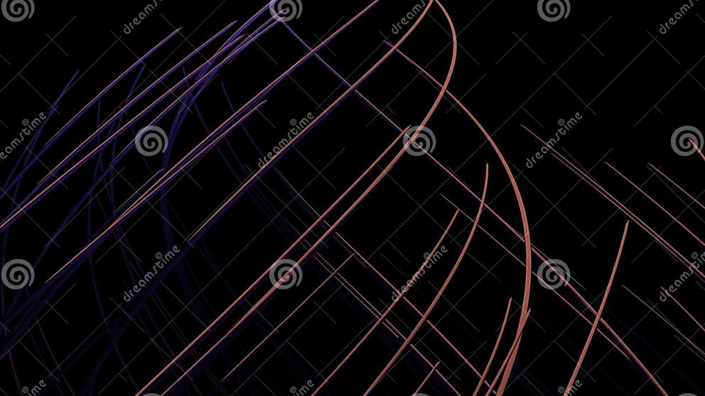 Colorful Lines Intersect. Design. Thin Lines Bend and Weave on Black ...