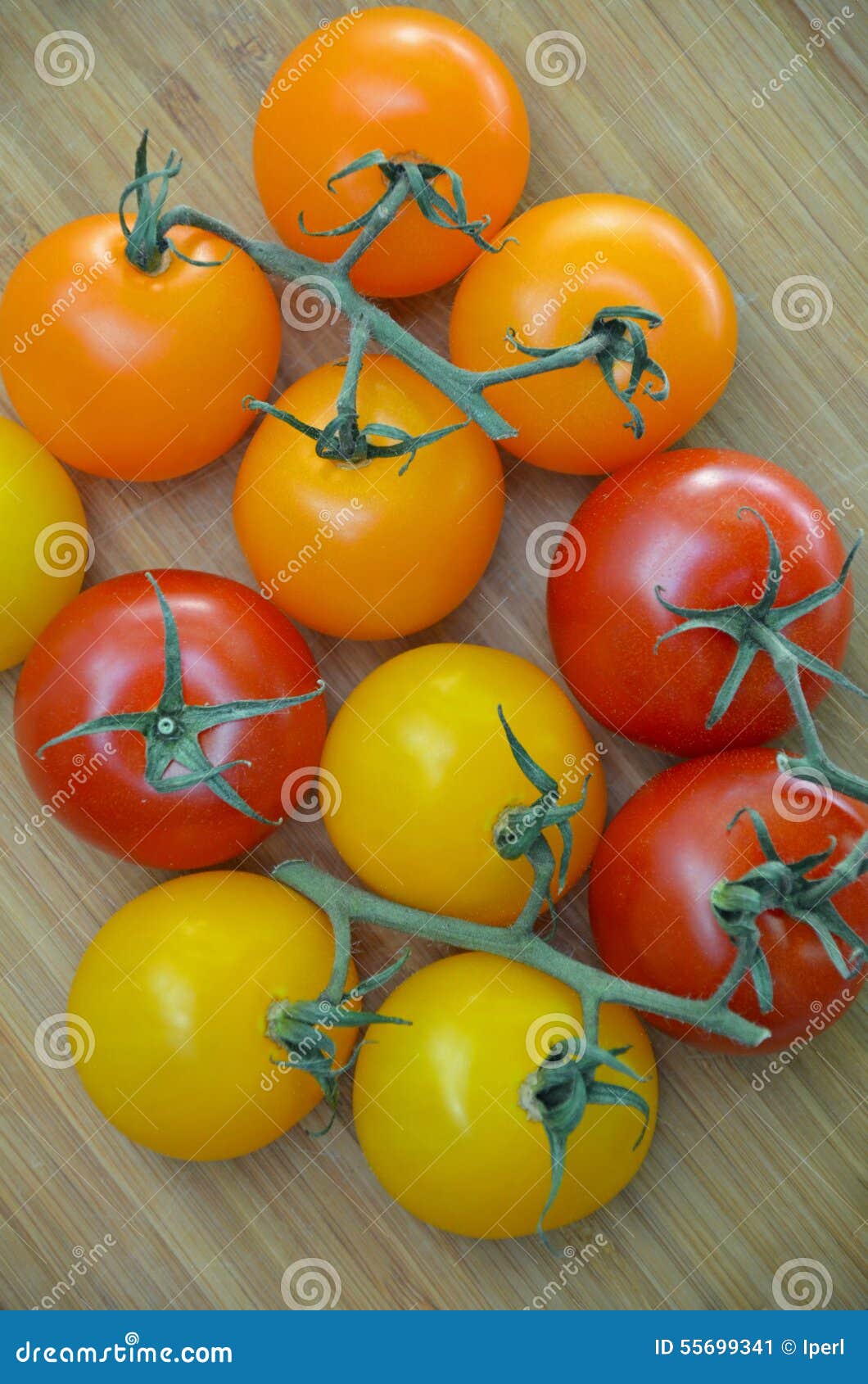 Colorful little tomatoes stock image. Image of healthy - 55699341