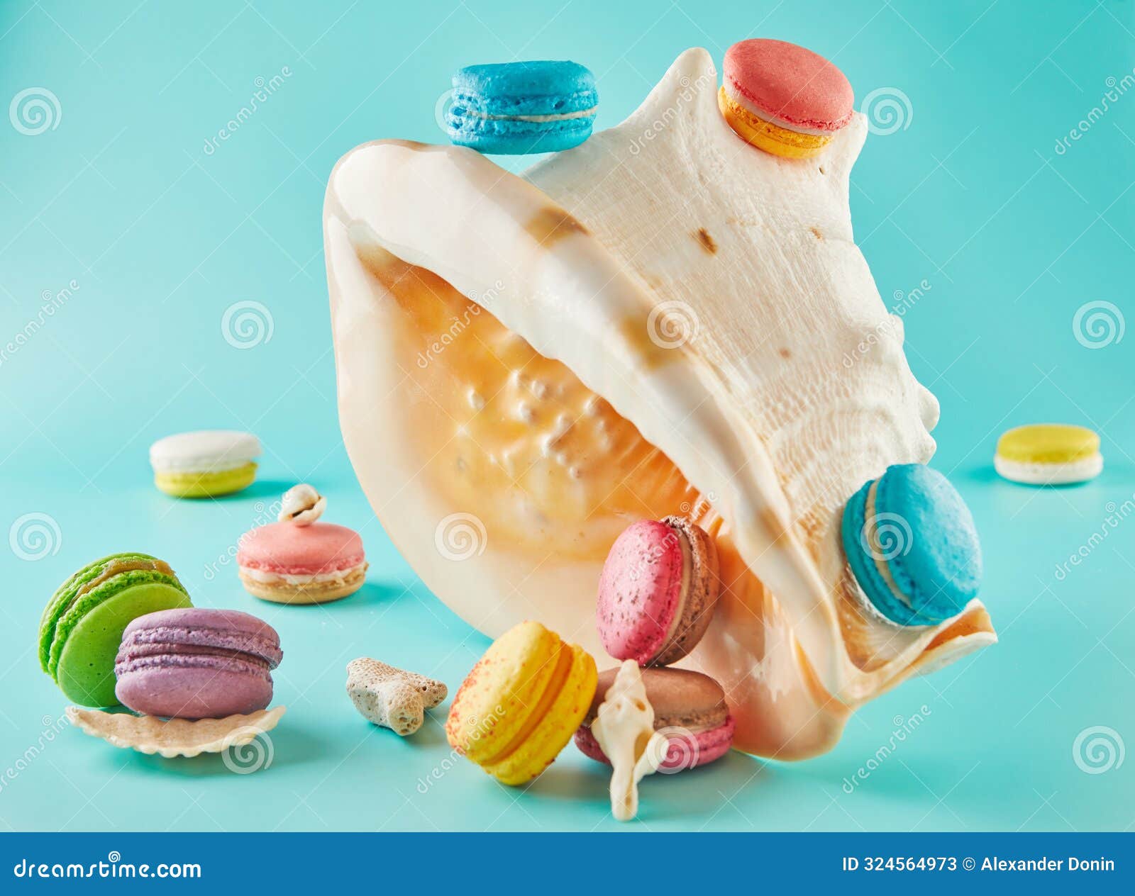 Colorful Macarons of Different Flavors with a Large Sea Shell on a Blue ...