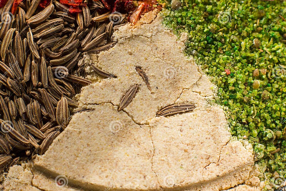 Colorful Macro Spices Set with Different Spices Stock Image - Image of ...