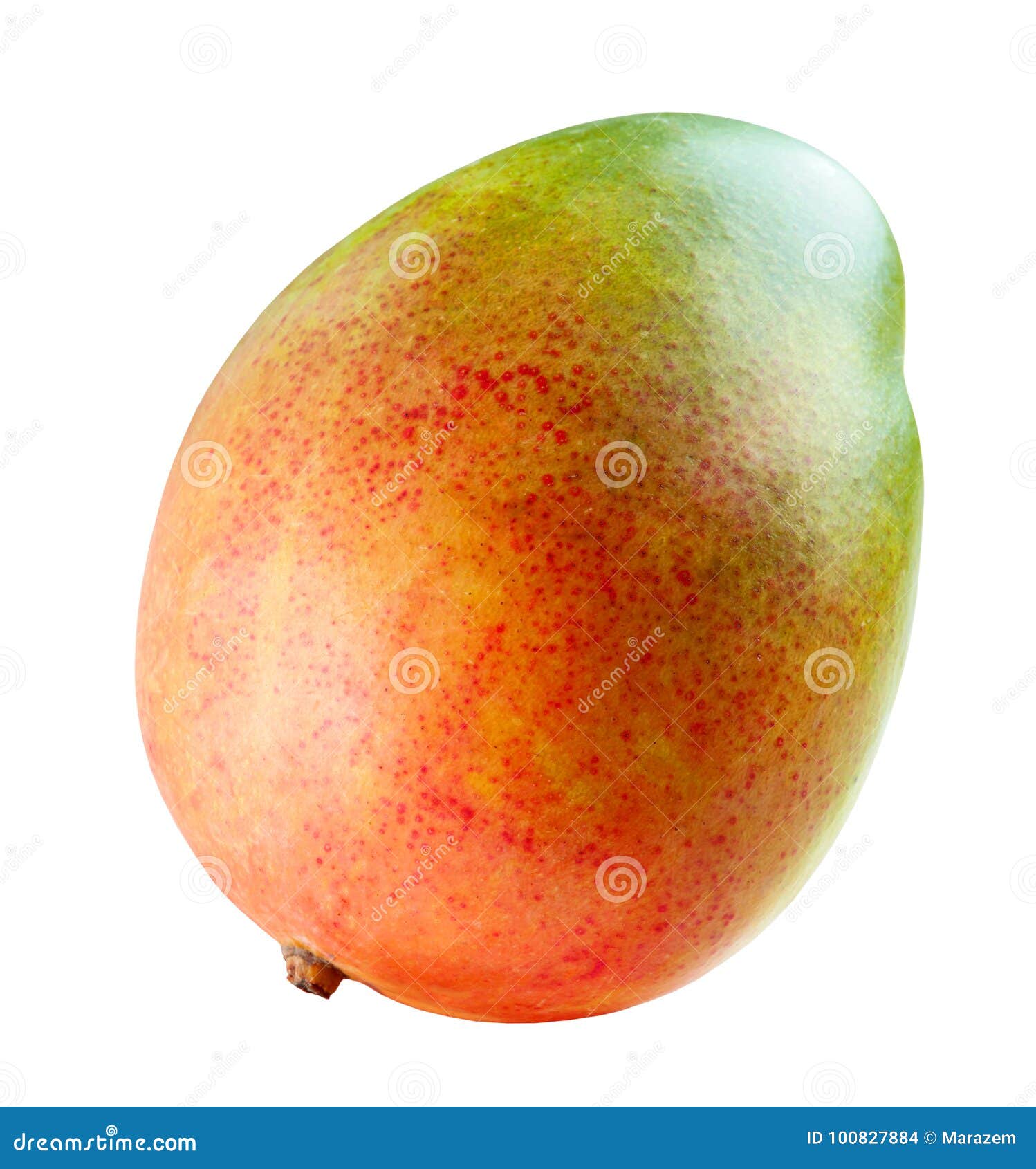Colorful mango fruit stock photo. Image of organic, mango - 100827884
