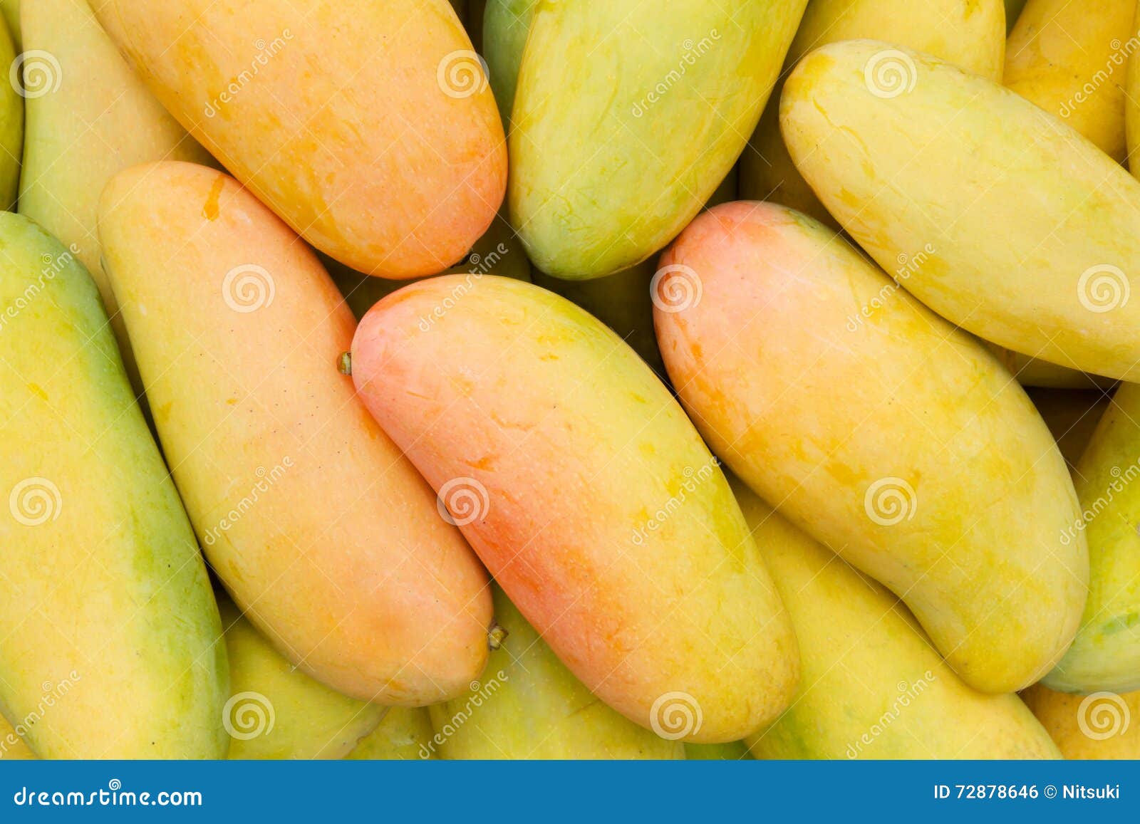 Colorful mangoes stack stock photo. Image of mango, change - 72878646