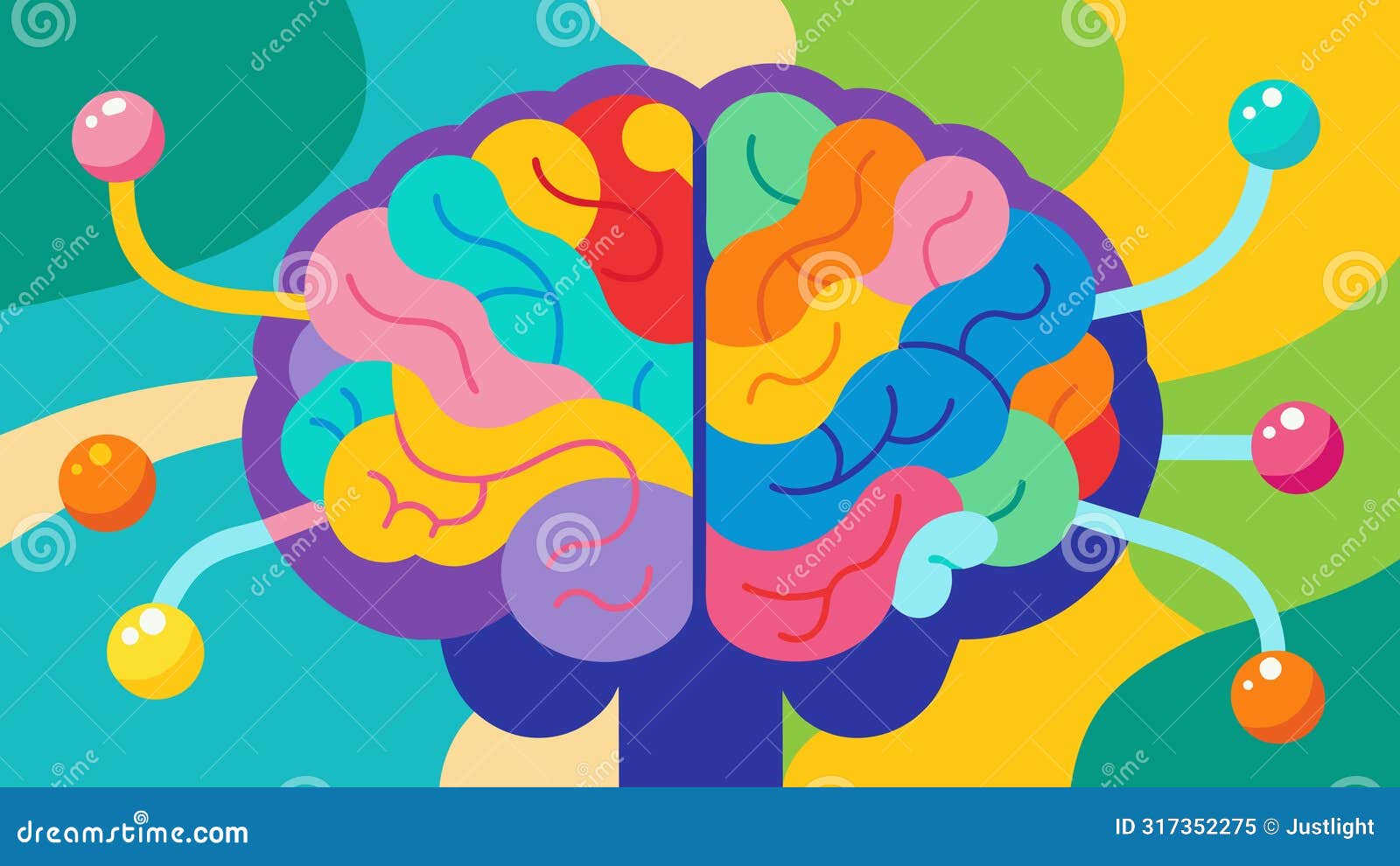 A Colorful Map Of The Brain Showcasing The Different Pathways That Are ...