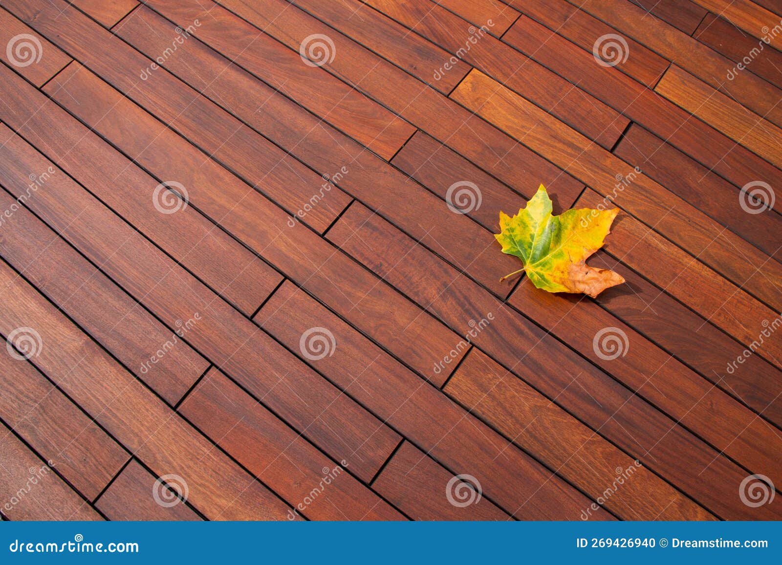 Colorful Maple Leaf on Ipe Wood Texture Background Stock Photo - Image ...