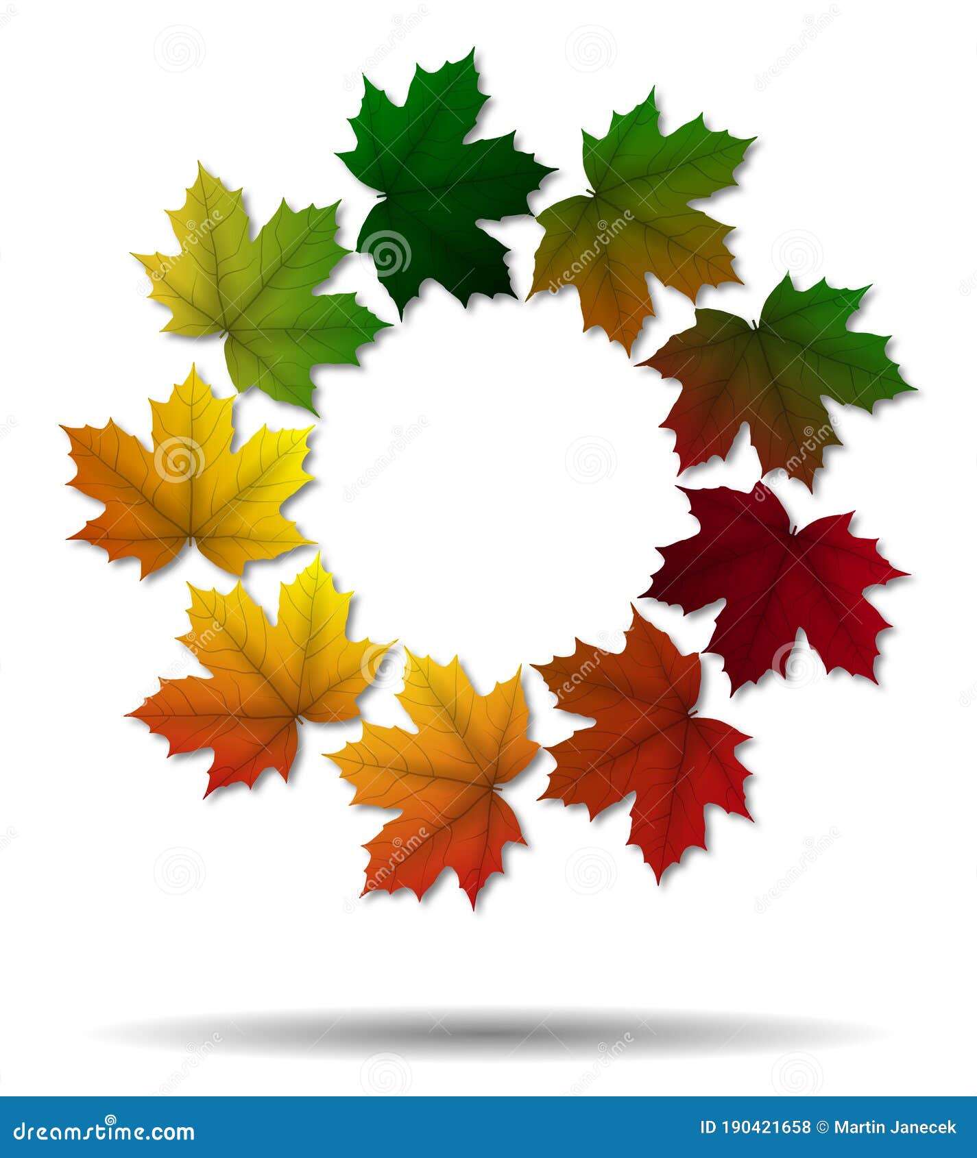 Colorful Maple Leaves in Circle Stock Illustration - Illustration of ...