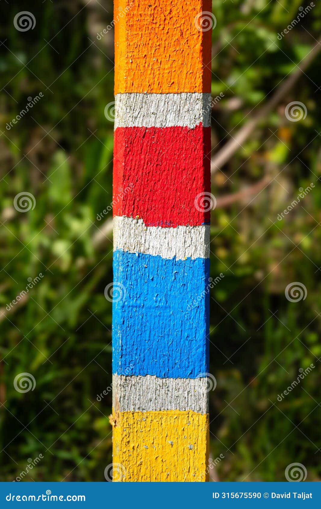 A colorful marking stake stock photo. Image of marker - 315675590