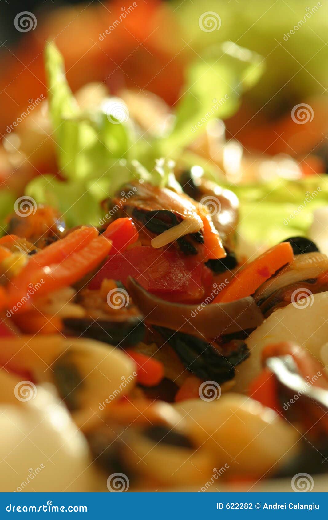 Colorful meal stock photo. Image of appetite, ginger, lunch - 622282