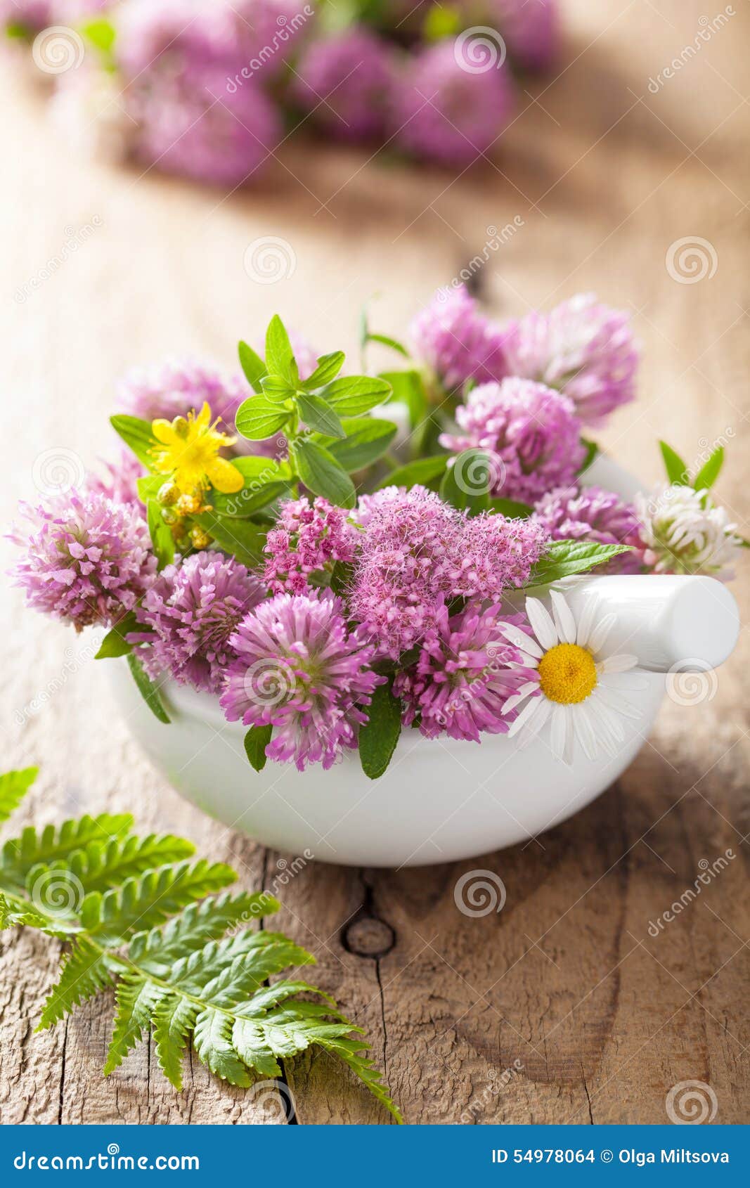 Colorful Medical Flowers and Herbs in Mortar Stock Photo - Image of ...