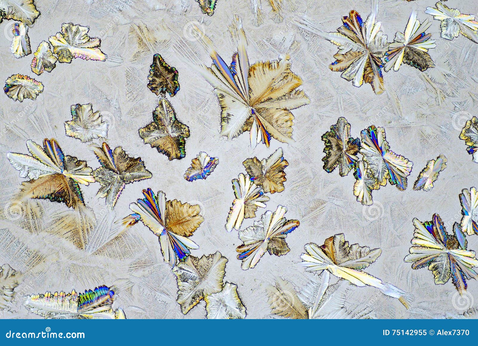 Colorful Micro Crystals in Polarized Light Stock Image - Image of macro ...